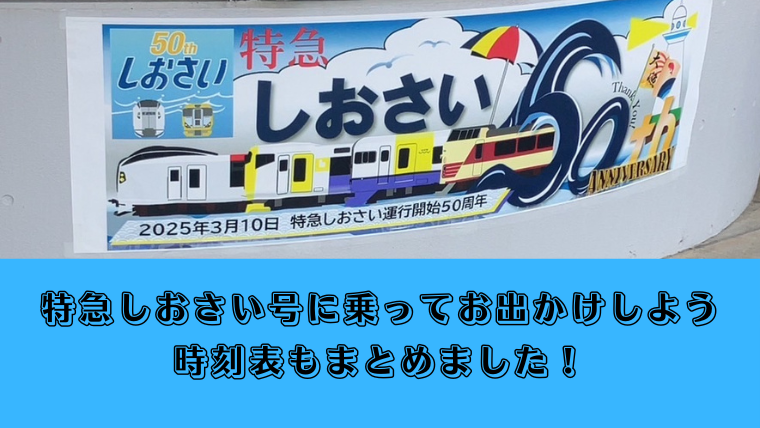 特急しおさい号の乗り方と時刻表まとめ！車両の魅力も紹介！｜旅ときどき